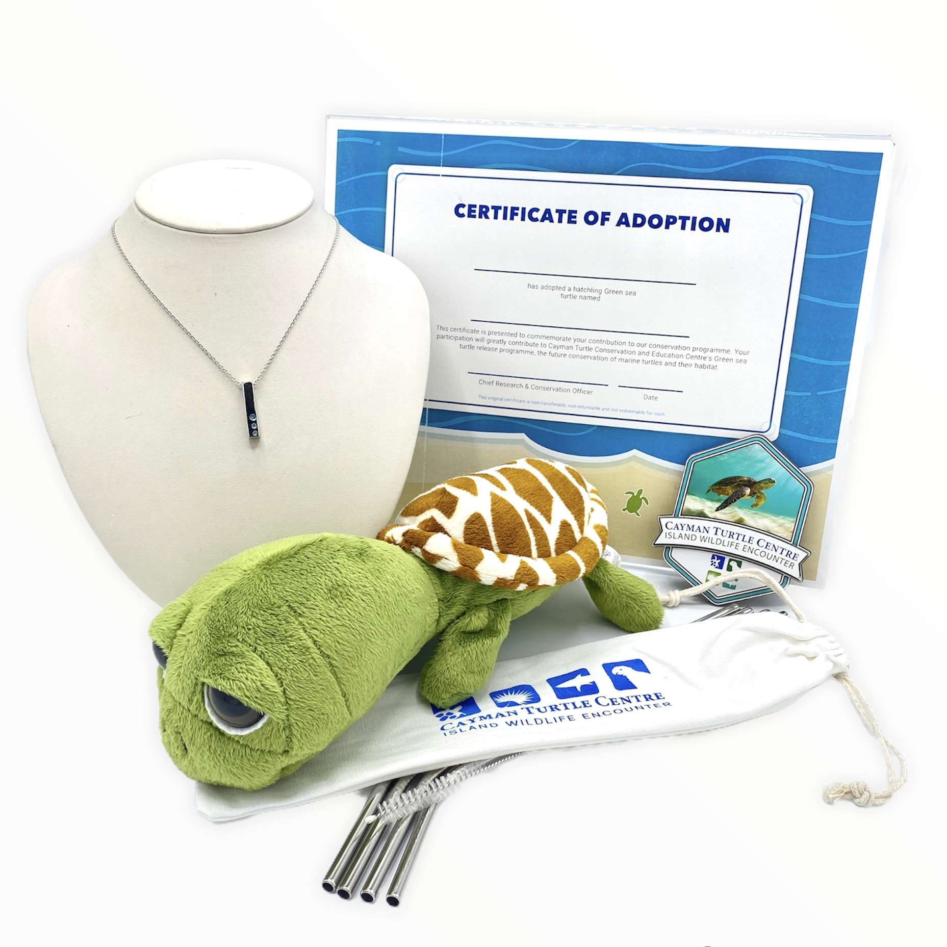 Symbolic Turtle Adoption with Swarovski Necklace… | Cayman Resident