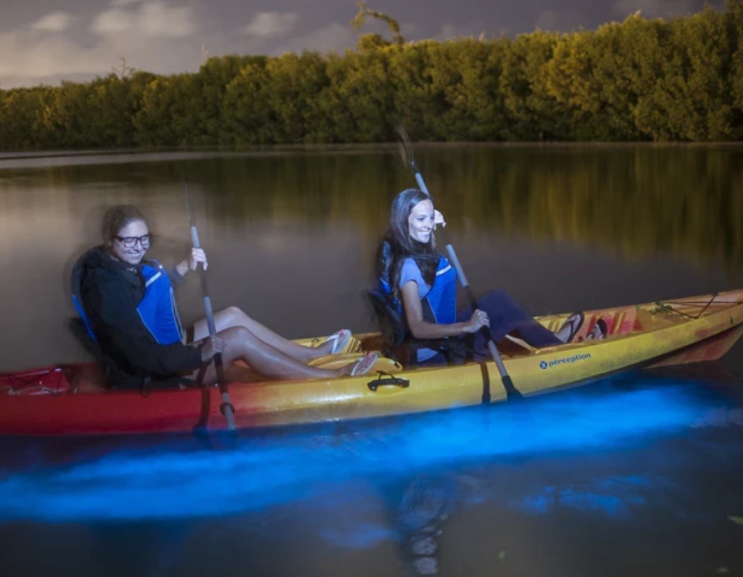 Gift Certificates - Bioluminescent Kayak Tours | Cayman Resident
