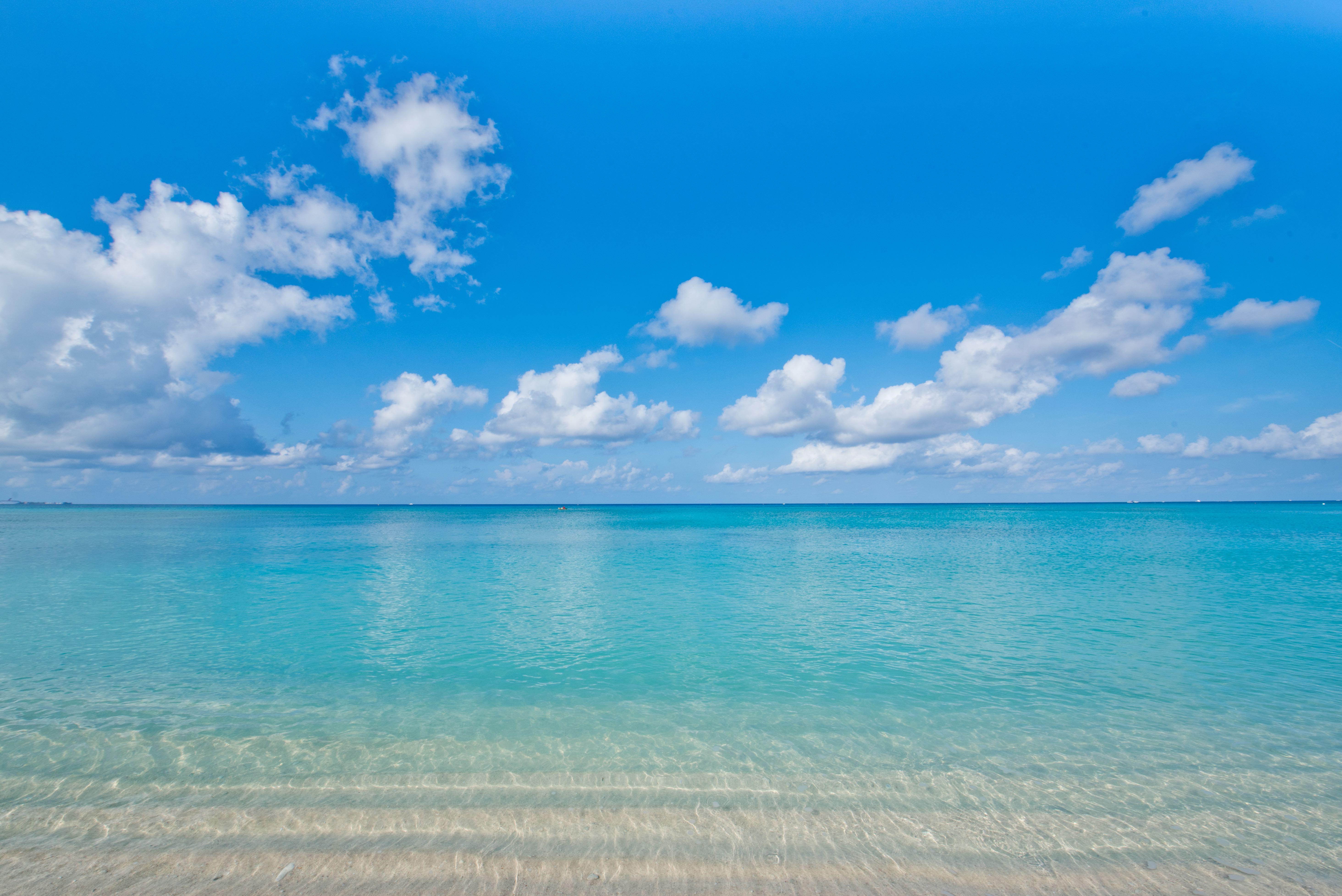 Public Buses In Grand Cayman Bus Hours Fares Route Map